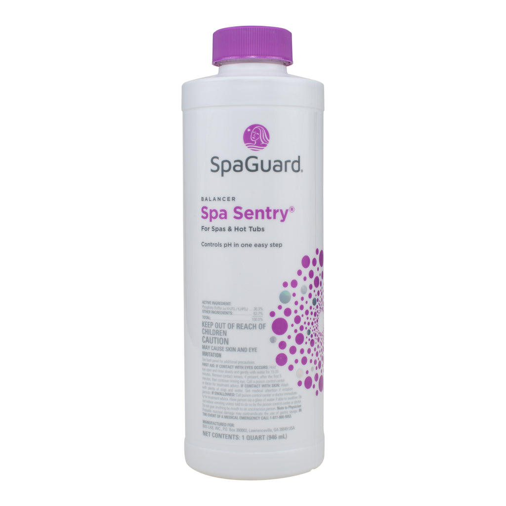 SpaGuard Spa Sentry – Pool Geek